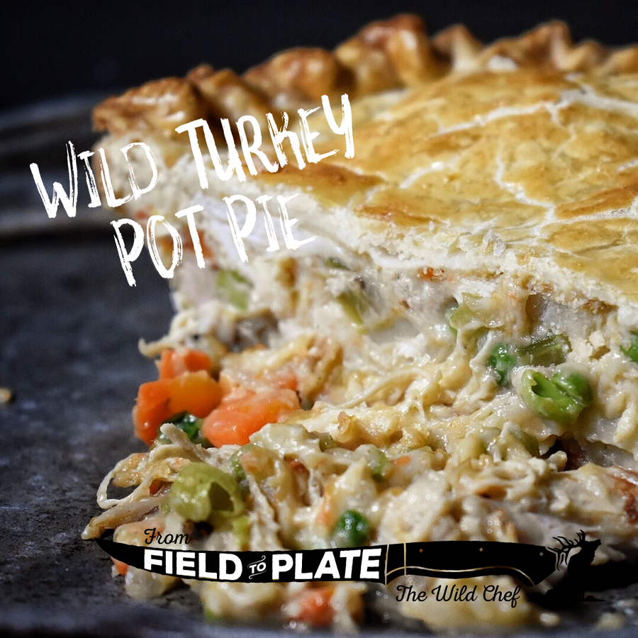 Wild Turkey Recipes – NOMAD Outdoor